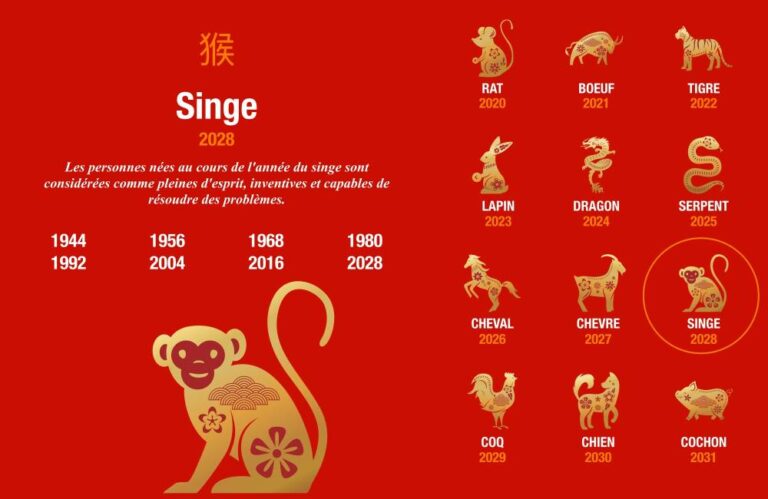 Signe Chinois Singe Compatibilite