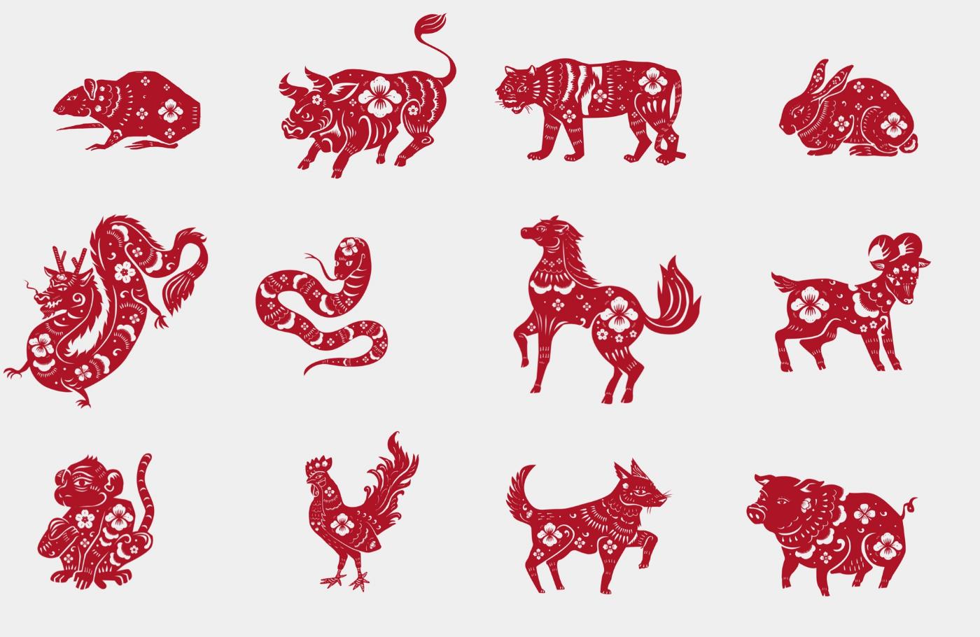 Compatibilité entre signes chinois : ce qu’il faut savoir
