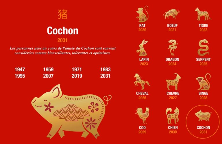 Signe Chinois Cochon Compatibilite